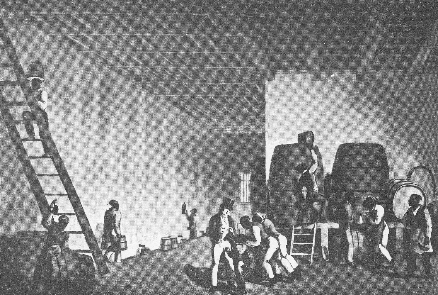 Progress is fine, but it's gone on for too long.: Sugar plantation in ...