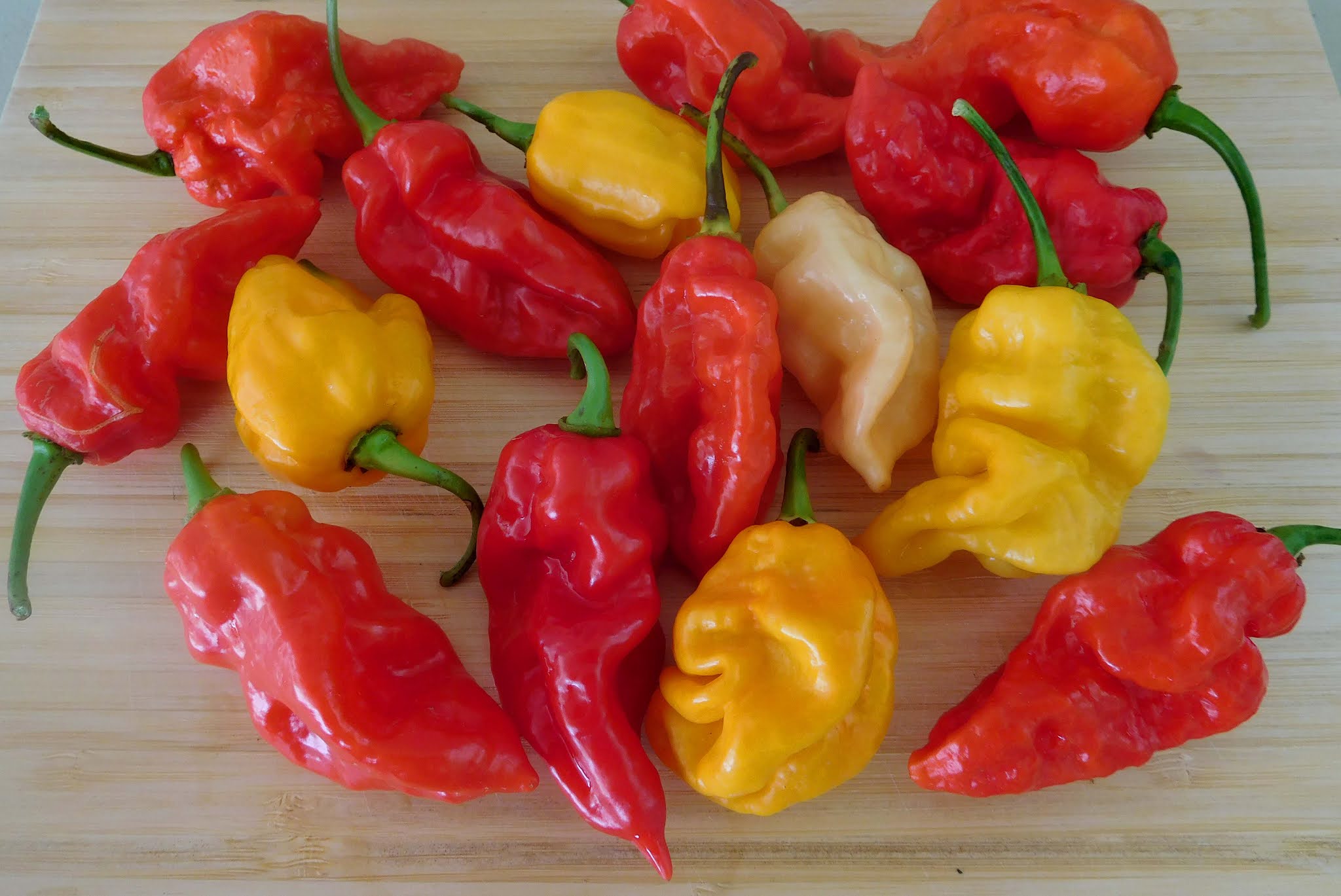 Sweetwater Farms: Fresh Peppers