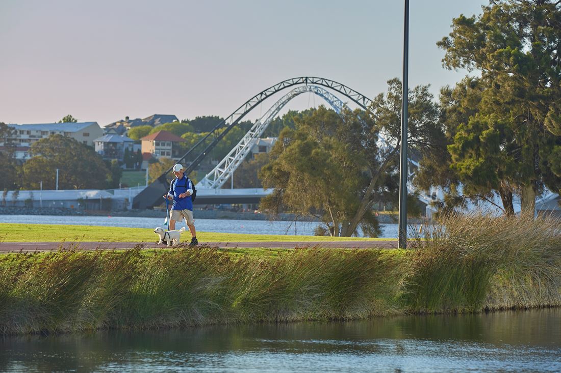 The Holiday and Travel Magazine: Matagarup Bridge zip-line and climb to ...