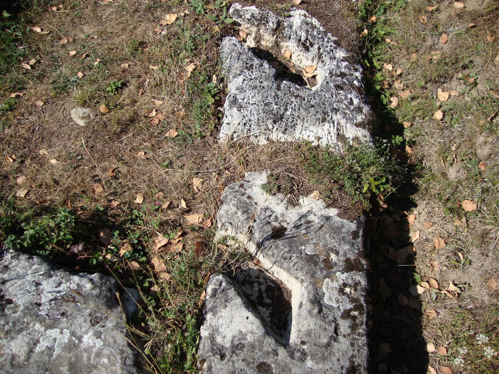 TUDOR PHOTO BLOG: Civilizatia Dacica - Cetatea Costesti-Cetatuie UNESCO