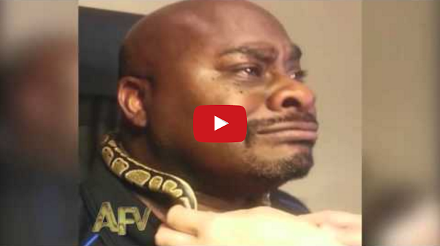 Man is Hilariously Scared of Snakes
