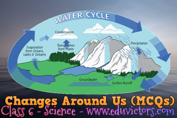 CBSE Papers, Questions, Answers, MCQ ...: CBSE Class 6 - Science ... CBSE Papers, Questions, Answers, MCQ ...: CBSE Class 6 - Science ...