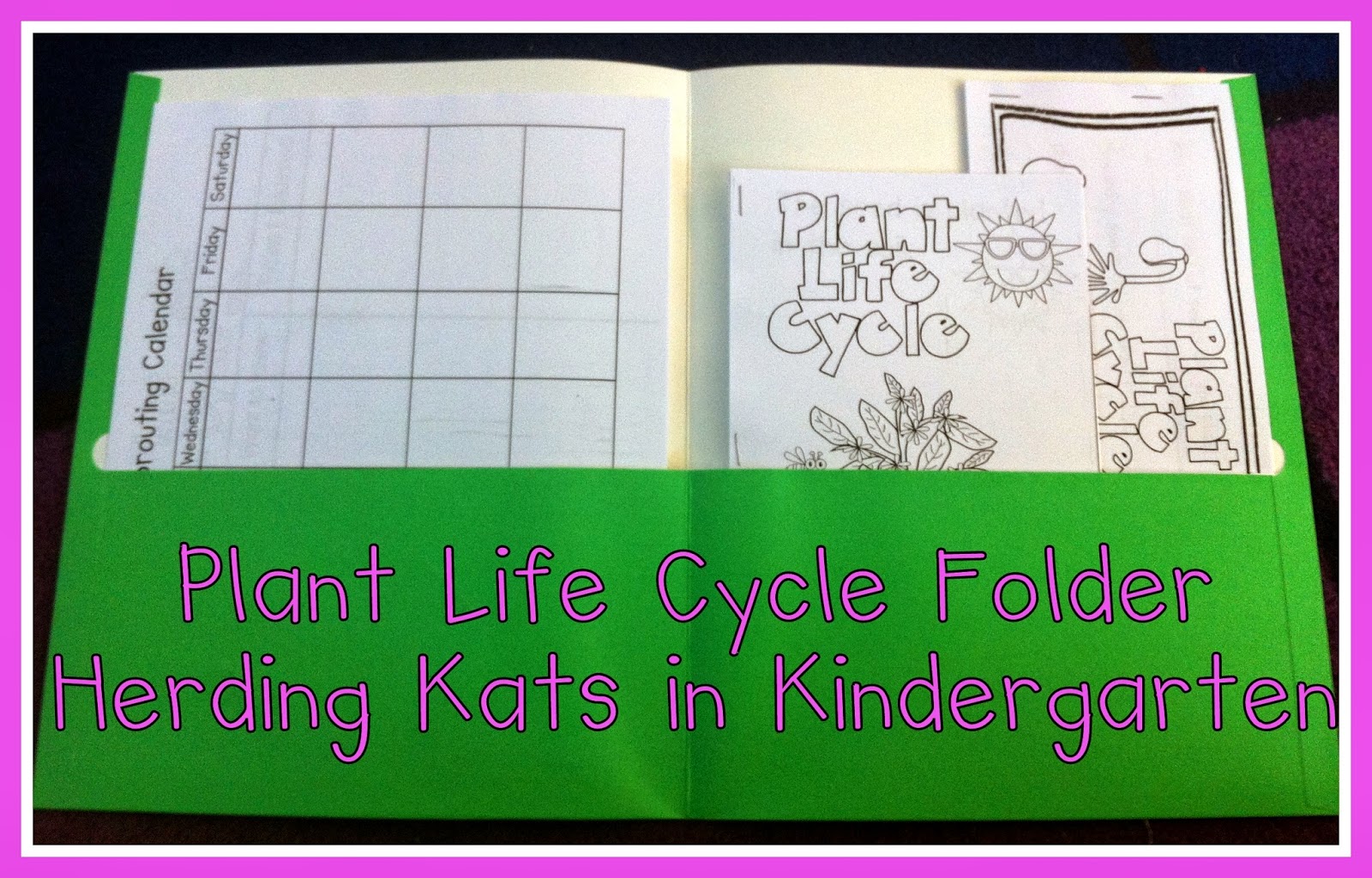Herding Kats in Kindergarten: Plant Life Cycle Unit