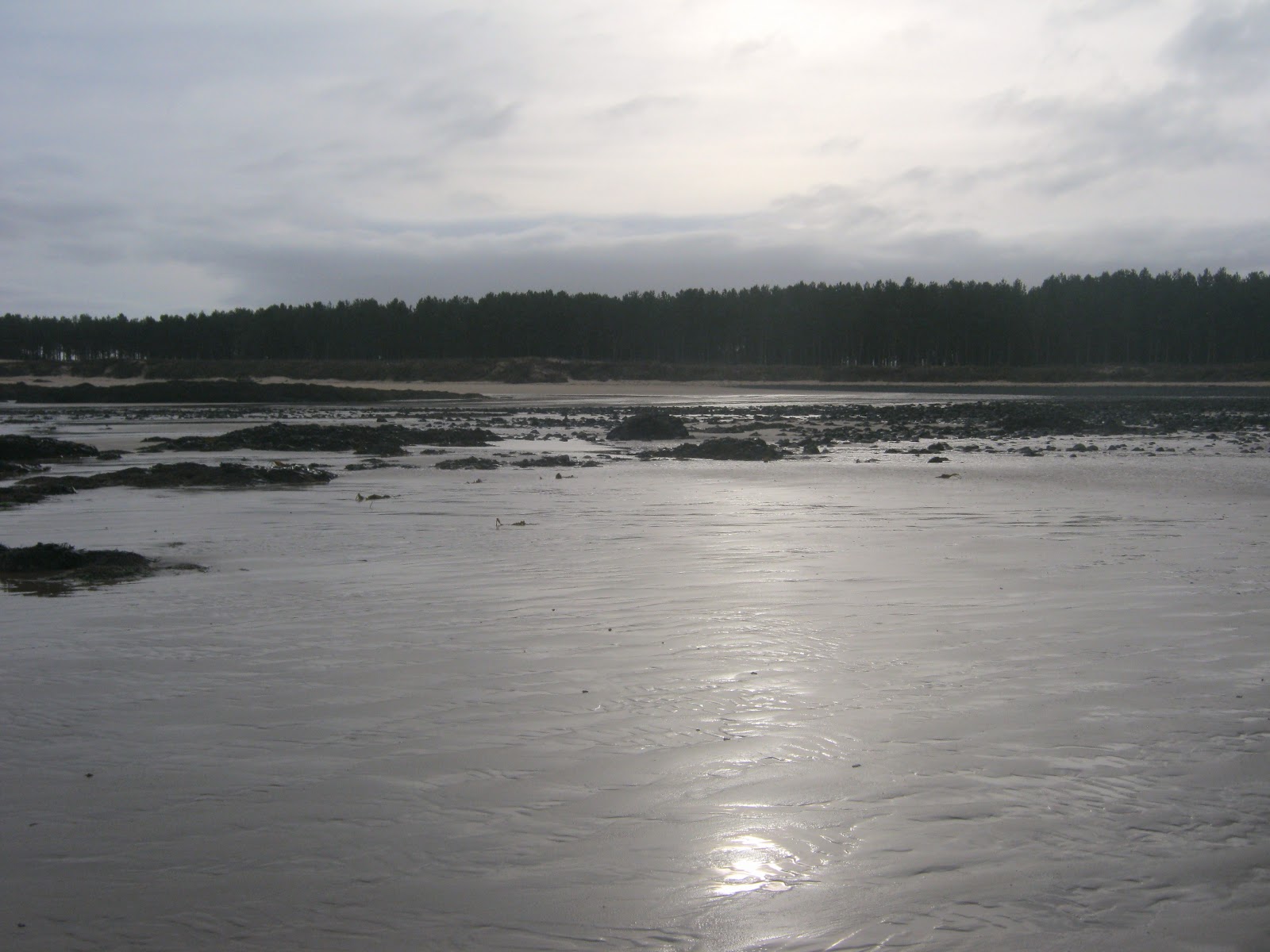 coastrider: Spring Tides Beach Rides...
