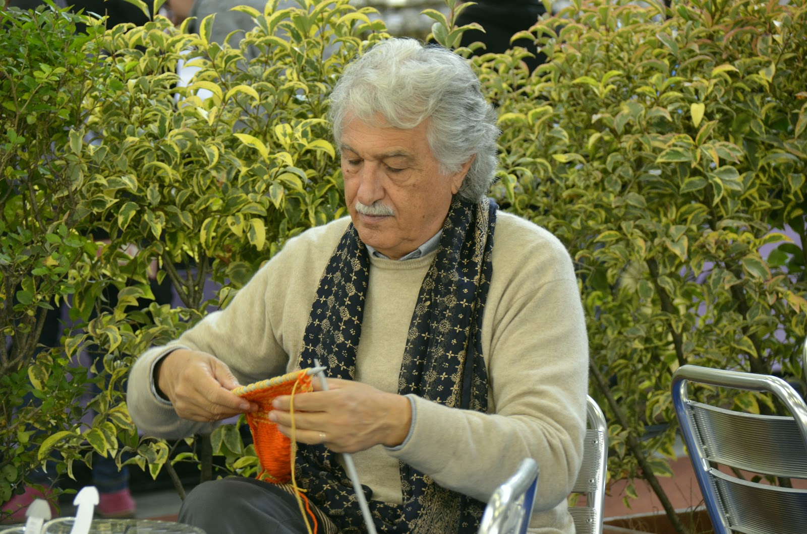 MOSTRACCI: UN CONCENTRATO DI CREATIVITA' MOSTRACCI: UN CONCENTRATO DI CREATIVITA'