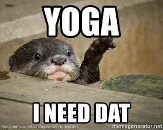 40+ Hilariously Funny Yoga Memes