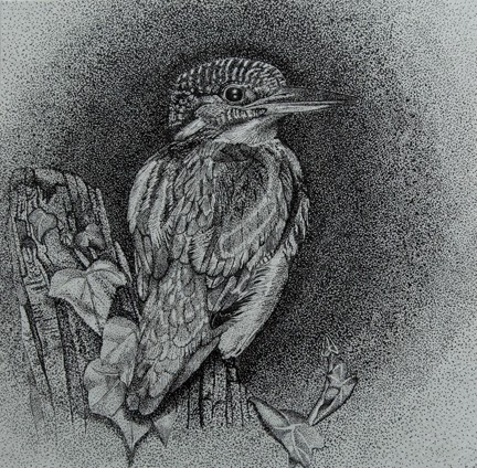 crowdog: Stippling Art - Birds