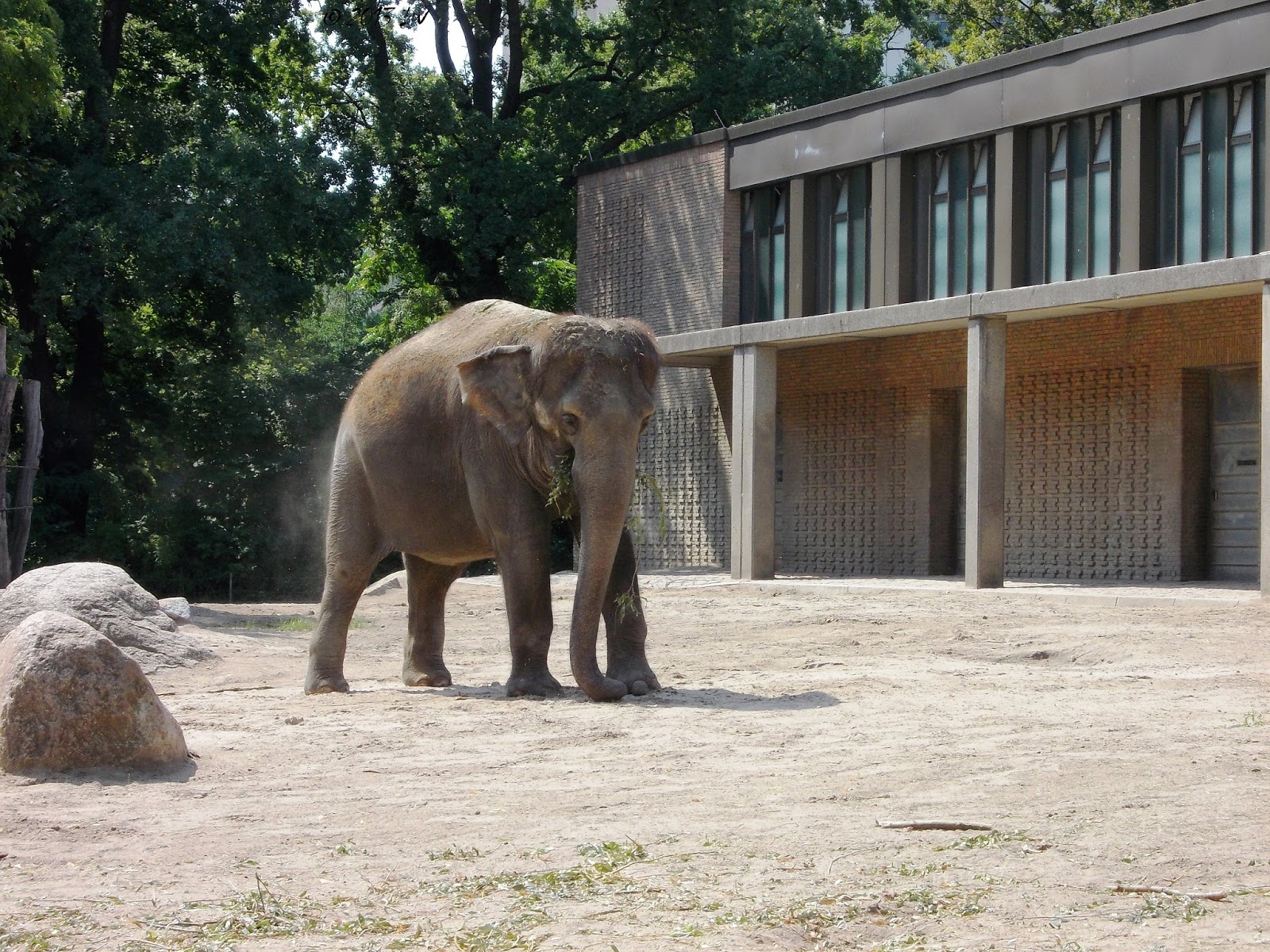 Ilana Travels: Top things to see and do in Berlin with small children