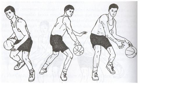 Olahraga: teknik dribble basketball