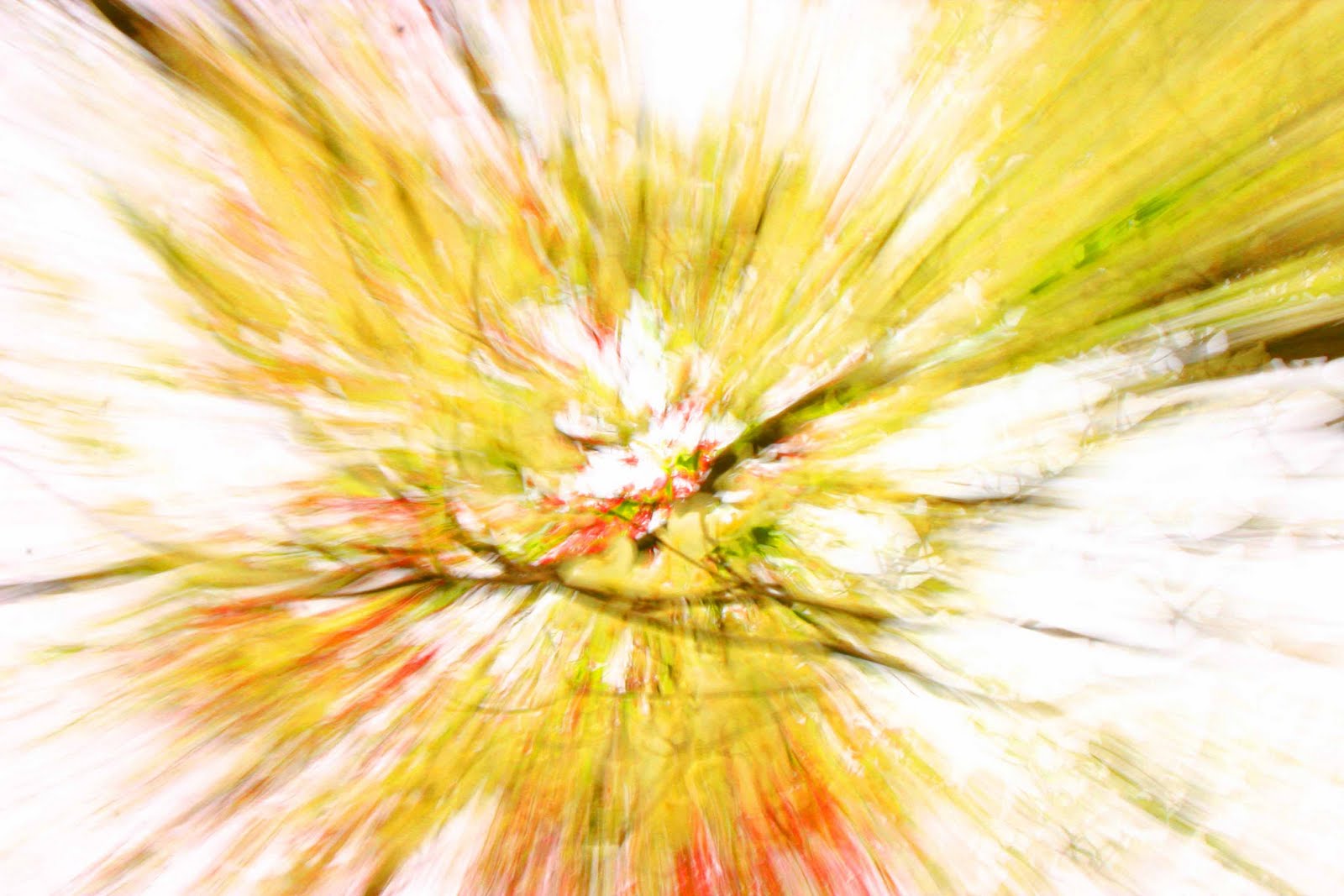 H.E.R Impressions: Spring Abstracts