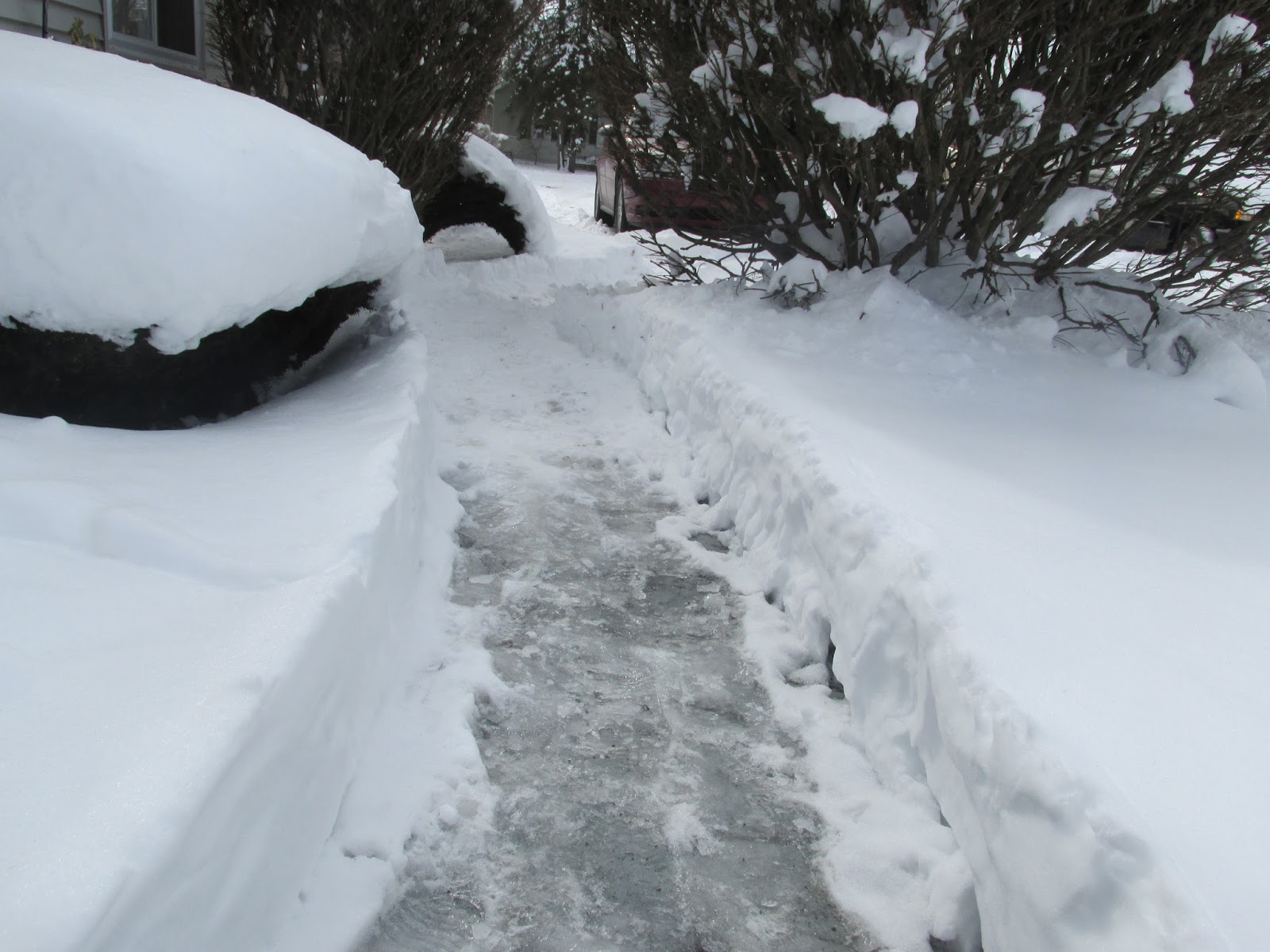Vickie's Kitchen and Garden: What Seventeen Inches of Snow Looks Like ...