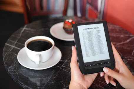 The eReader Blog: 2013
