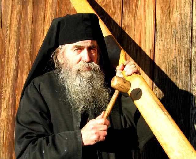 Ortodoxia.ro: Curățirea, înfrânarea și înnoirea sufletului - Părintele ...