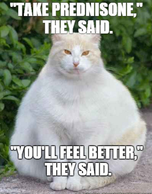 The Maren Update!: Ode to Prednisone: The A-hole that coined the term ...