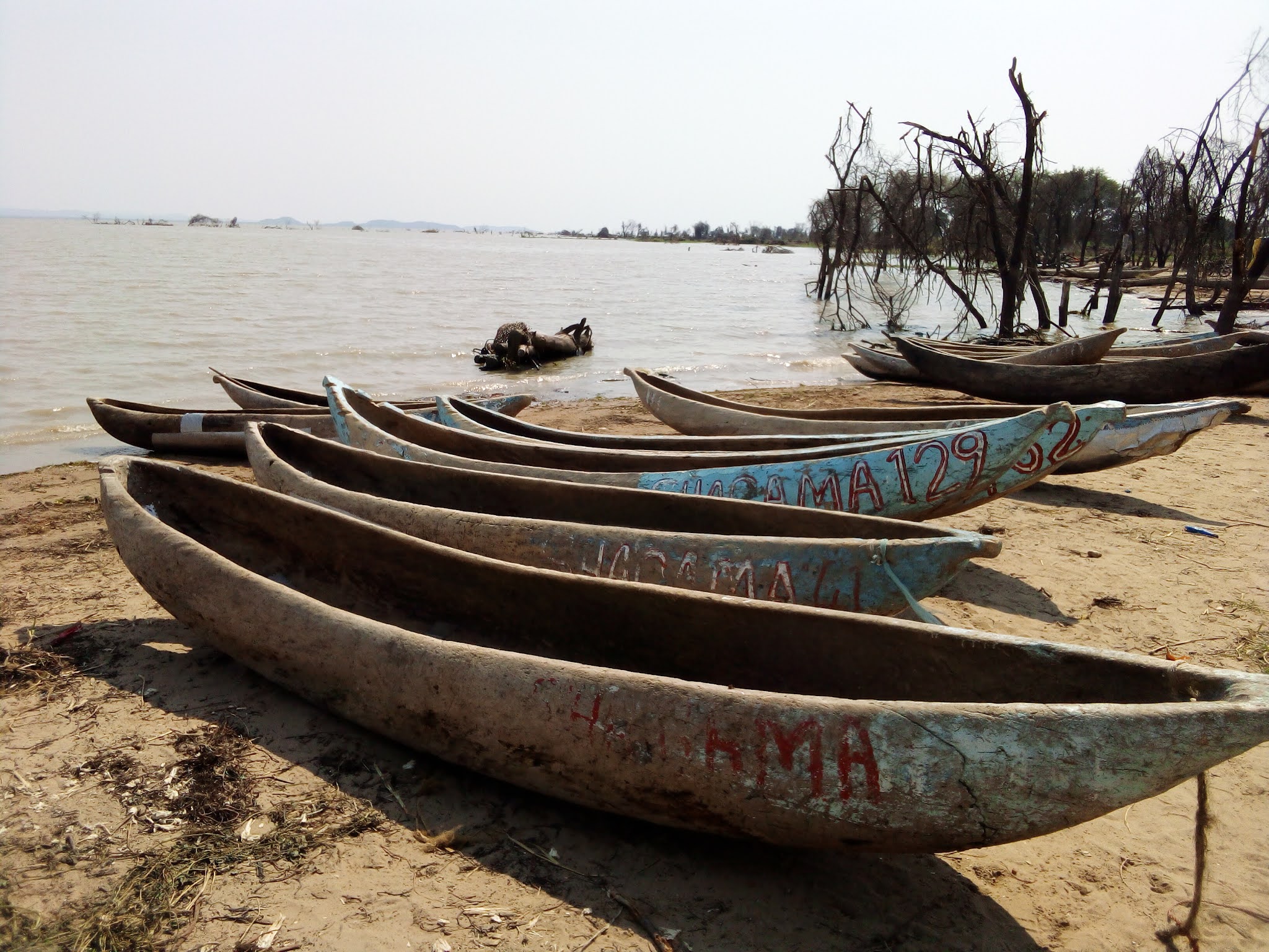 WAVUVI 12 WAPOTEZA MAISHA NA 15 KUJERUHIWA NA VIBOKO BWAWA LA MTERA ...