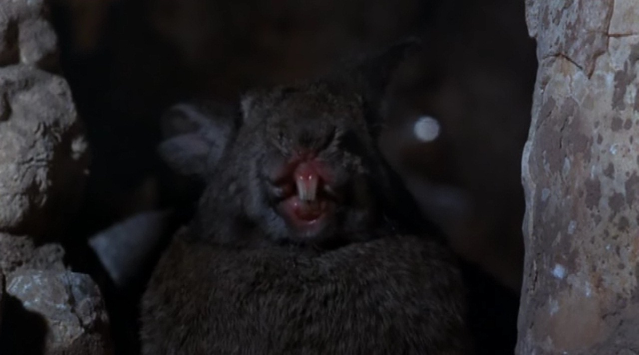 A Field Guide To Doomsday: Spawn Of Devastation Drive-In — 'Night Of ...