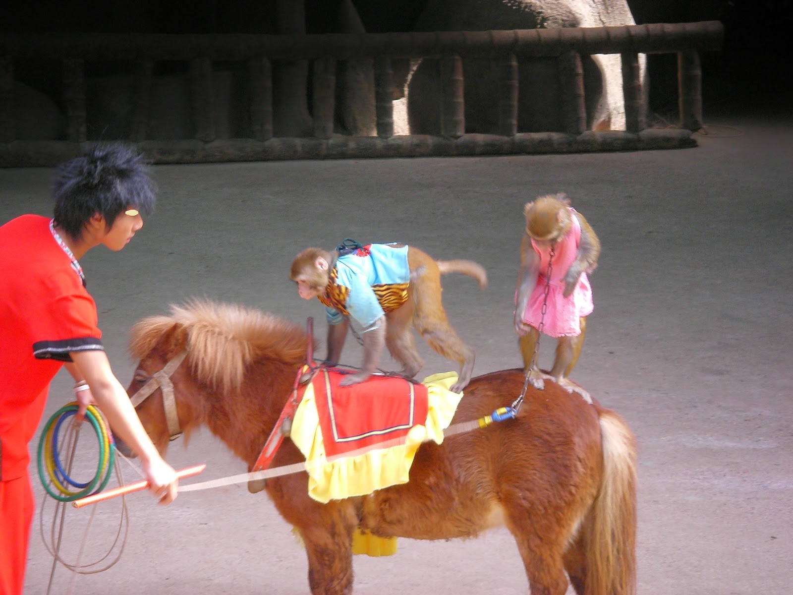 Top Attractions in China