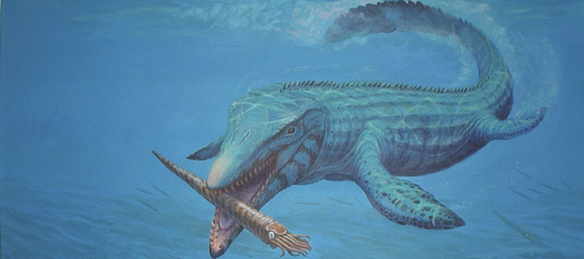 Mosasaurus