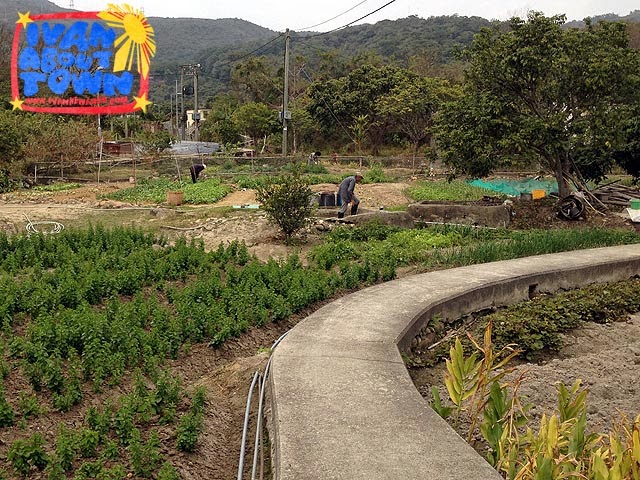 Hiking around Mui Wo 梅窩 on Lantau Island, Hong Kong [Part 2] | Ivan ...