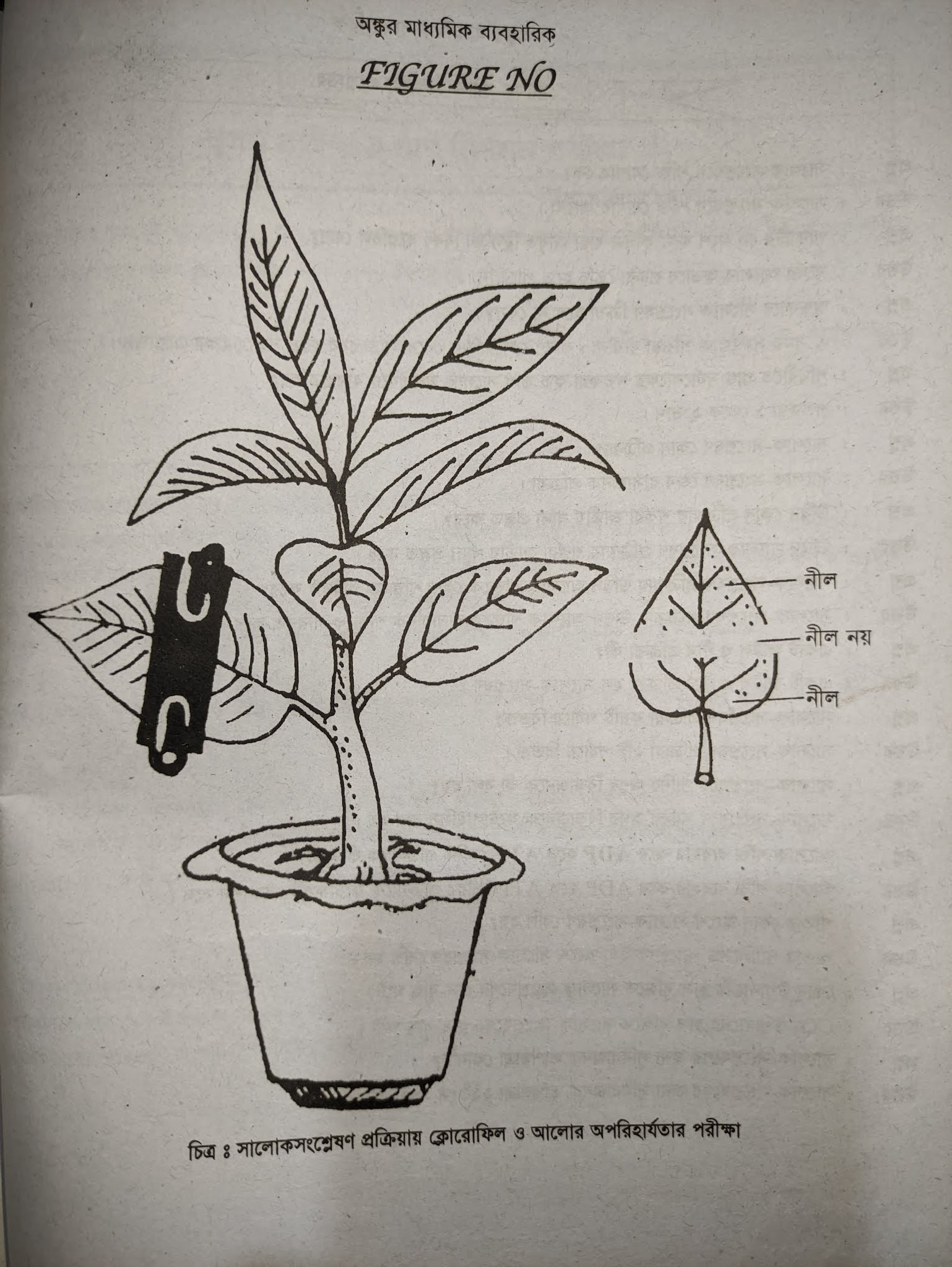 SSC Biology Practical 2021 SSC Practical Exam Talklines Tech ssc-biology-practical-2021-ssc-practical-exam-talklines-tech