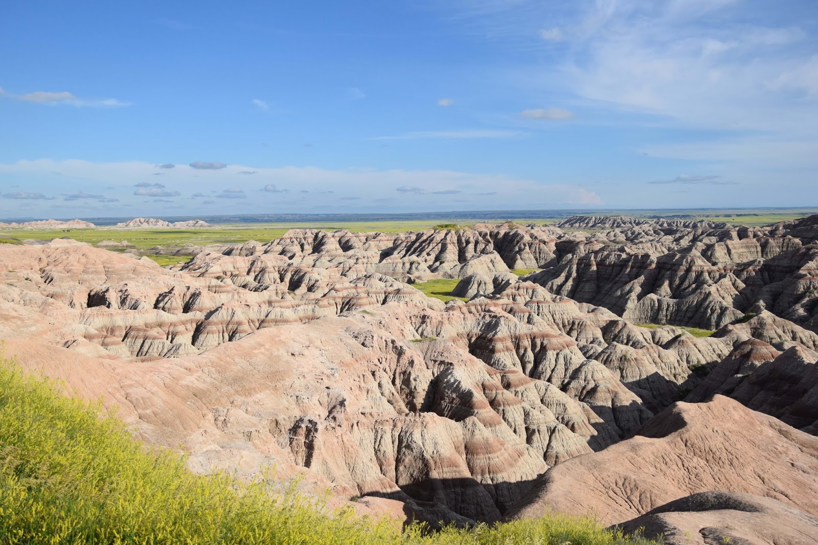 BioArtGal: The Badlands