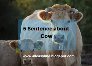 5 Sentence about Cow | 5 Lines on Cow