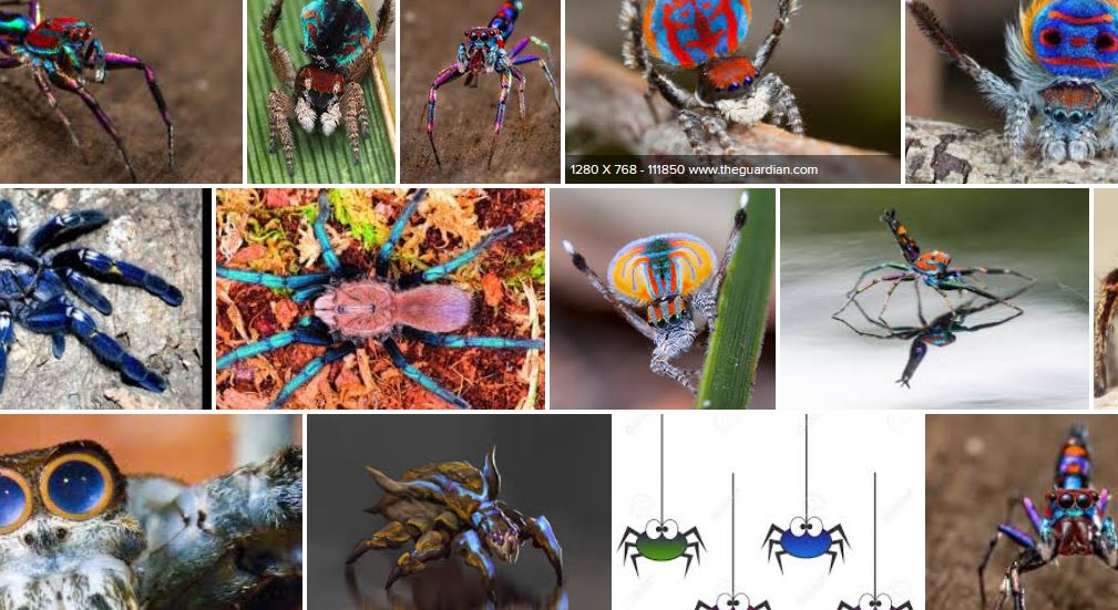 Battle Brush Studios: Review: Wargames Atlantic Giant Spiders