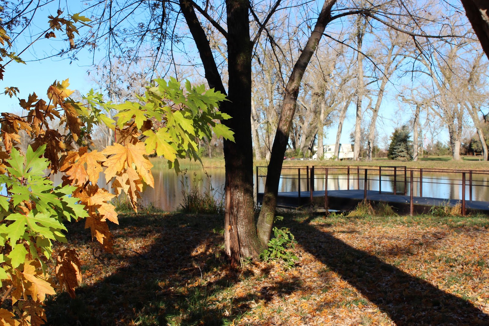 Nebraska's Hidden Gem: Unleash Your Inner Explorer At Arnold State ...