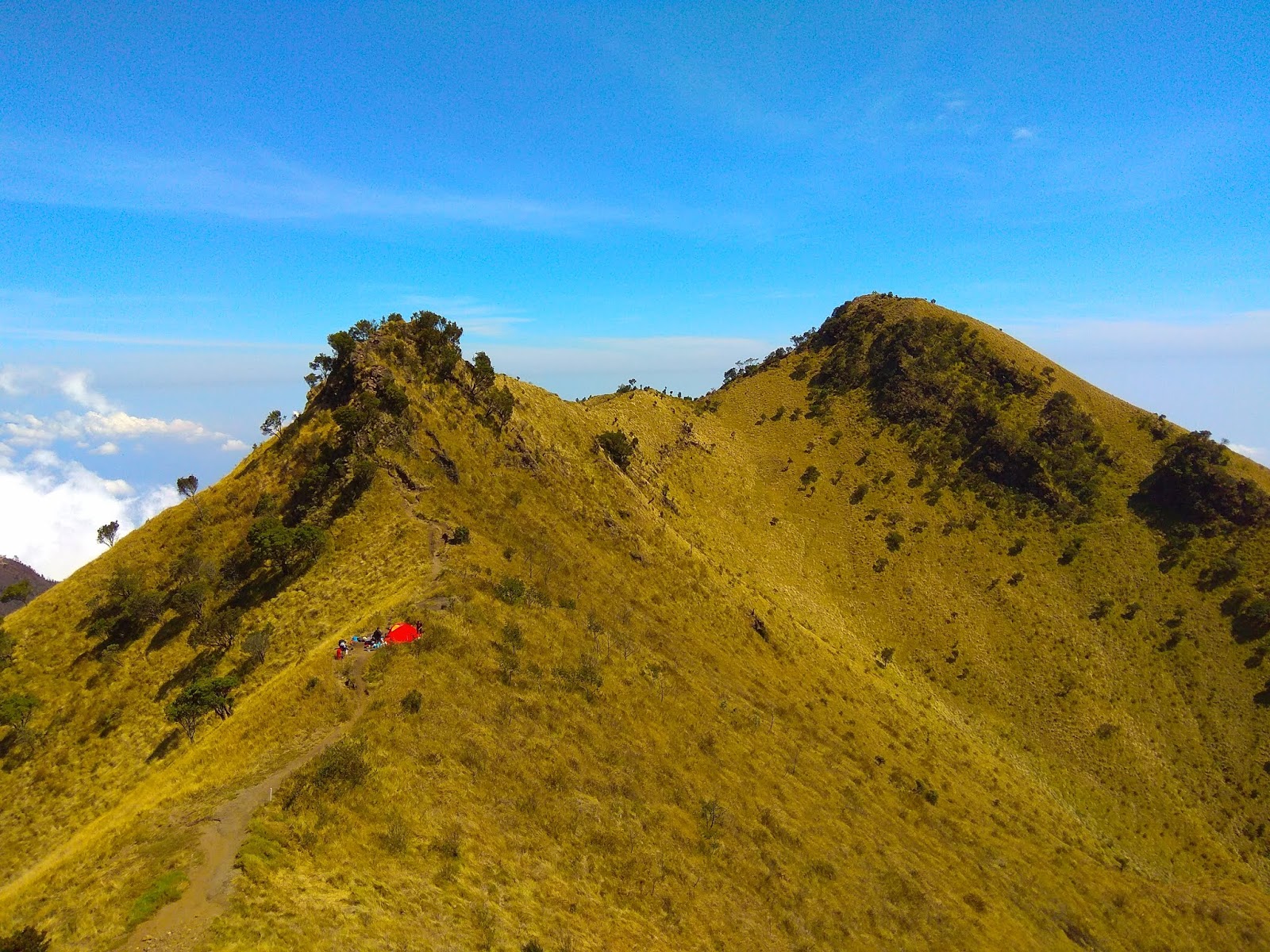 Pendakian Gunung Merbabu dibuka per 1 Februari 2020, Alamat dan Nomer ...