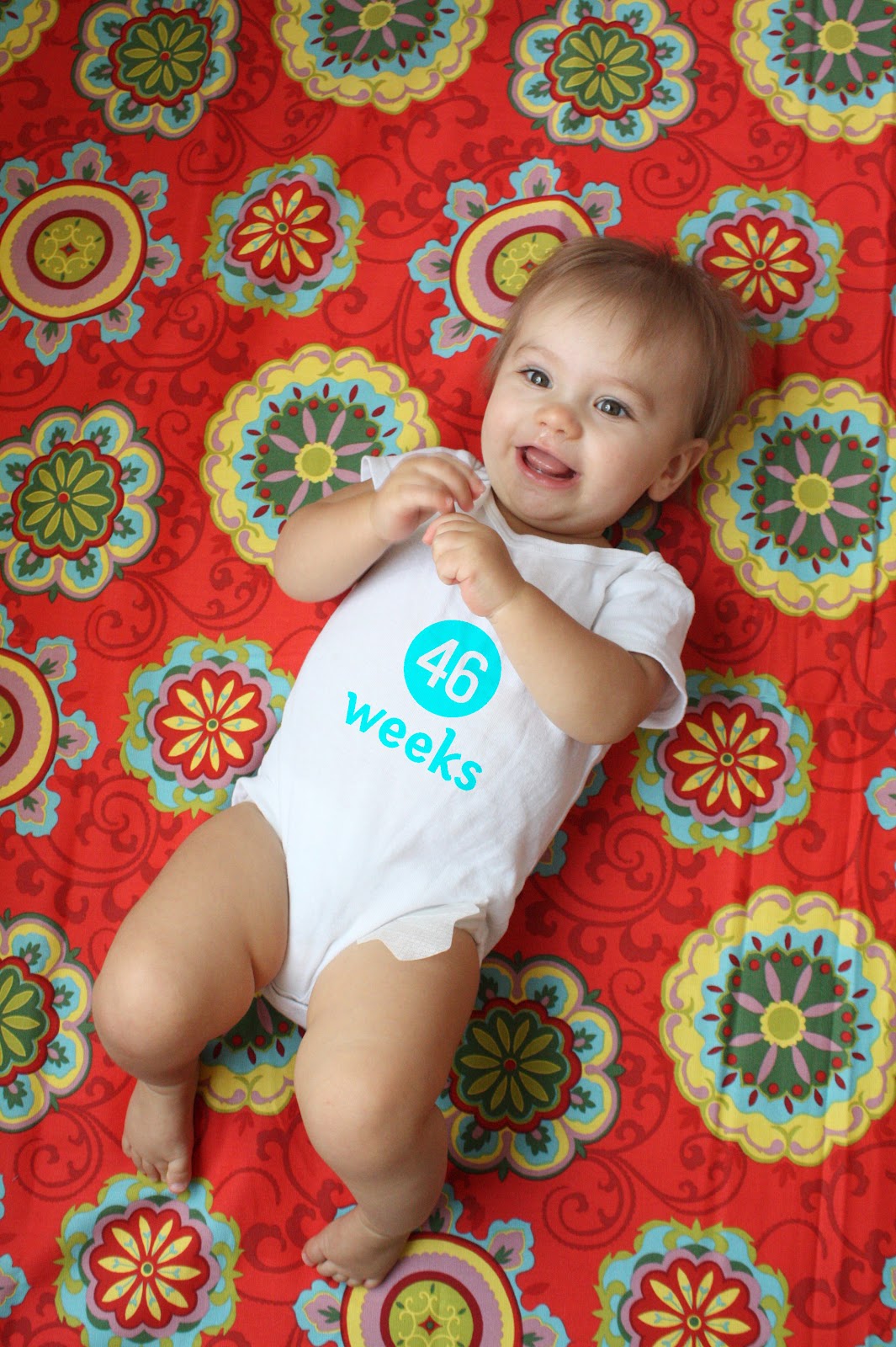 Whitehead's Wonder Years: The HAYDEN Project {52 weeks of baby love}