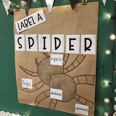 Spiders Main Topic and Key Details Interactive Read Aloud | The ...