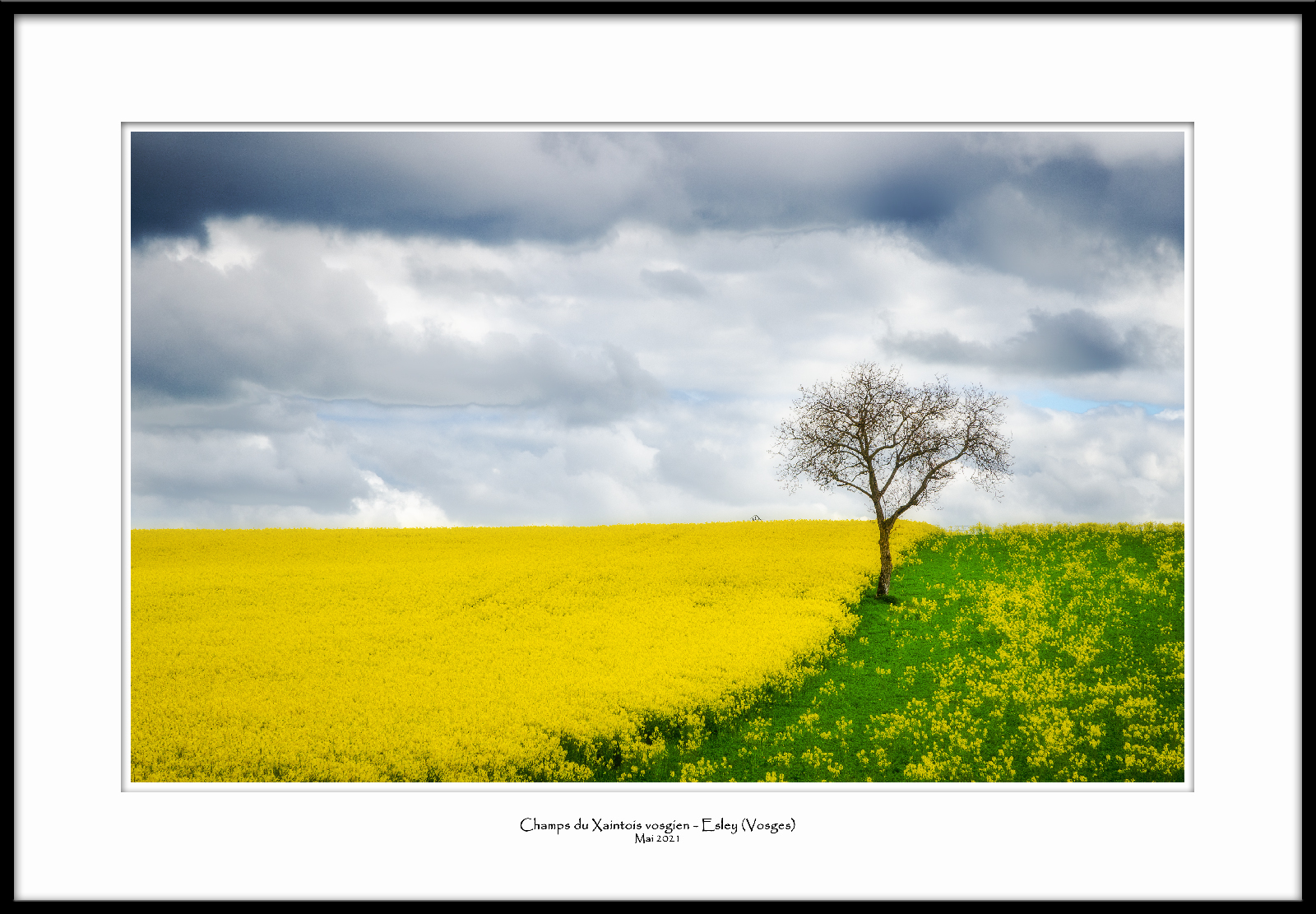 Observations Numériques: Assolement triennal