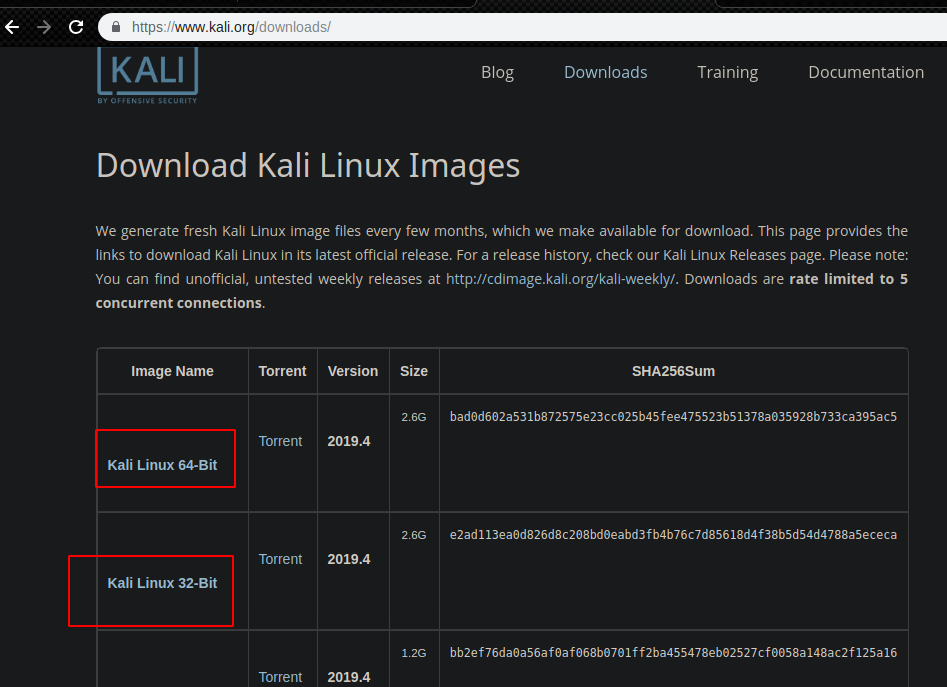 Kali linux iso file - dmkda