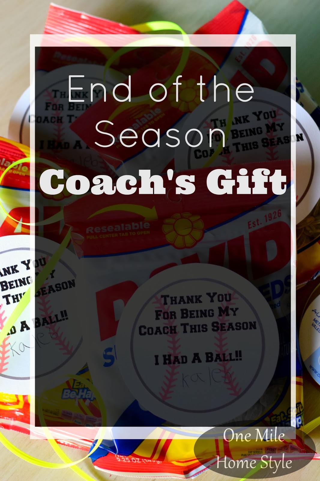 End of the Baseball Season Coach's Gift