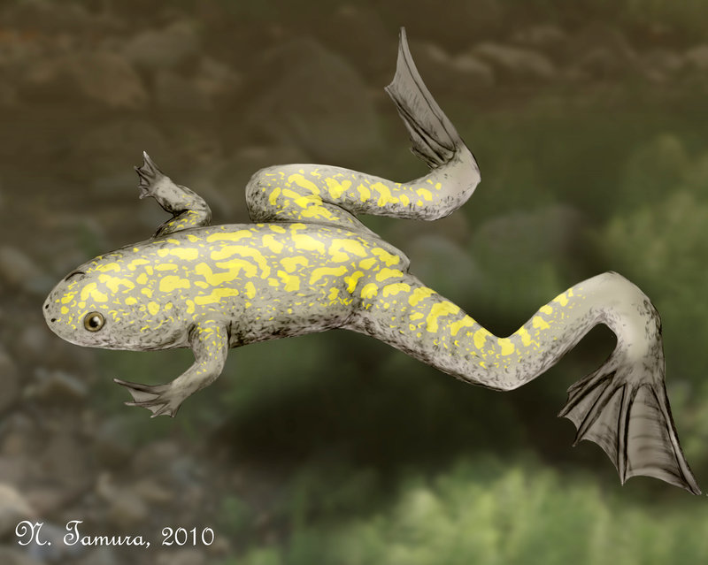 Escenarios prehistóricos: Singidella