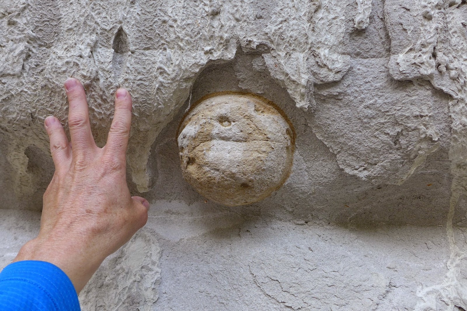 Sandstone Concretion