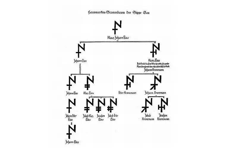 TOLKNIĘTY: The Tolkiens' Arms from the Tolkiens' rune?