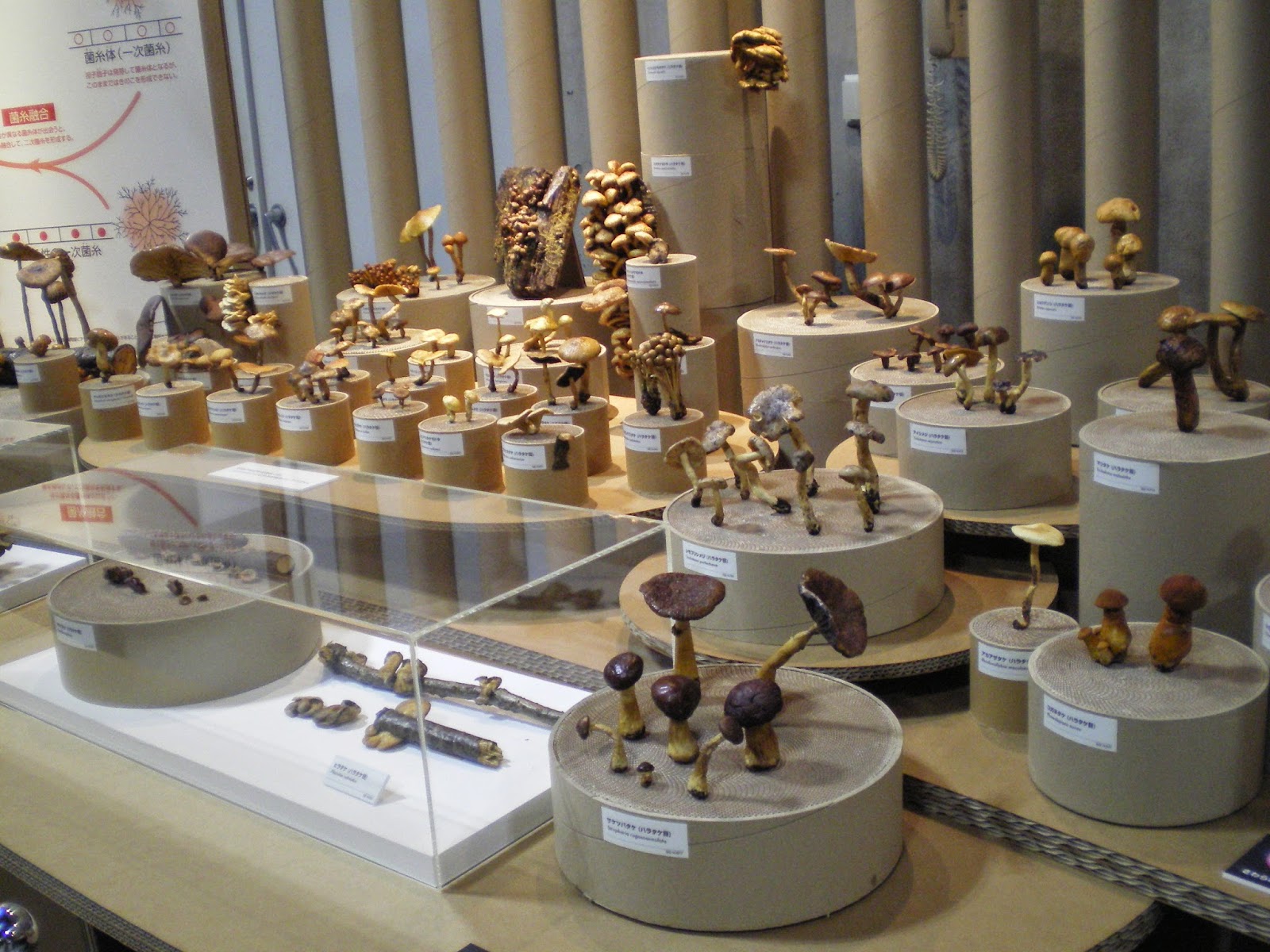 Piccolo Museo: Museum Review : Manga to Exhibit 1 :’ Wonders of the ...