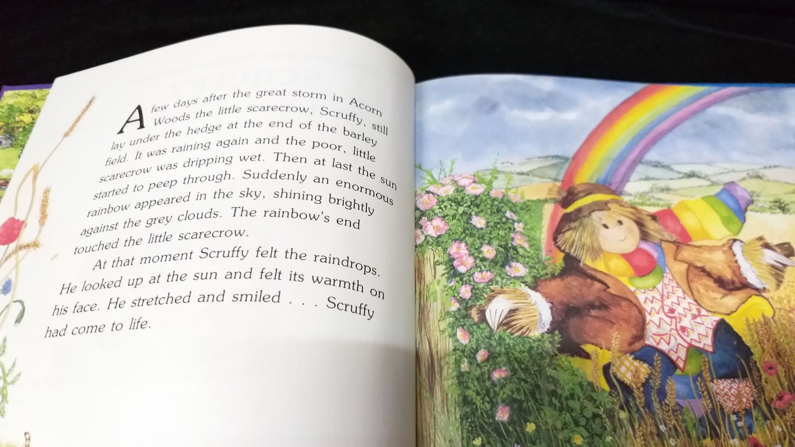 Kid Books Blog: 522.Adventures of the Rainbow Scarecrows