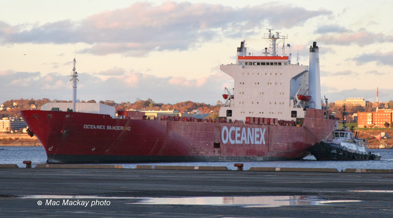 Shipfax: Graceful Leader heads upwind - awaits Oceanex Sanderling