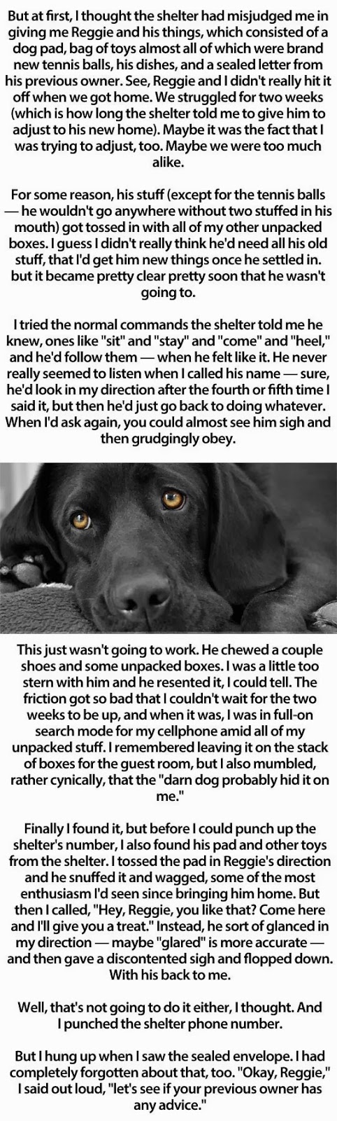 TANK – The Burning Platform