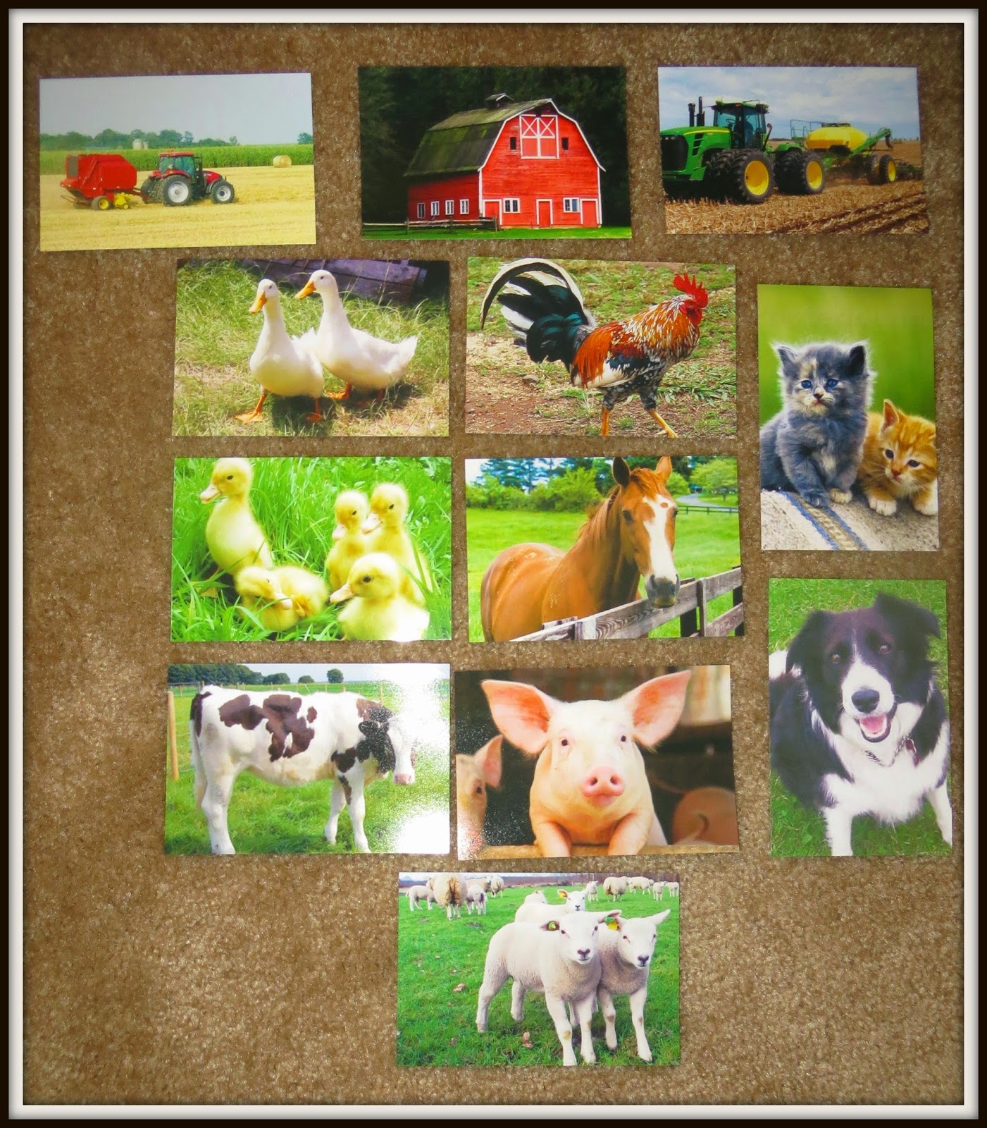 Cooking&Cuddling: Learning about Farm Animals!