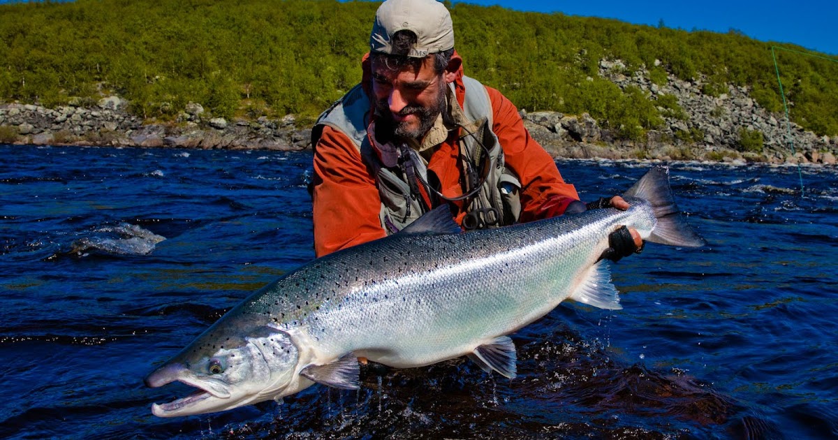 Roxtons Yokanga Blog: Gremikha first week