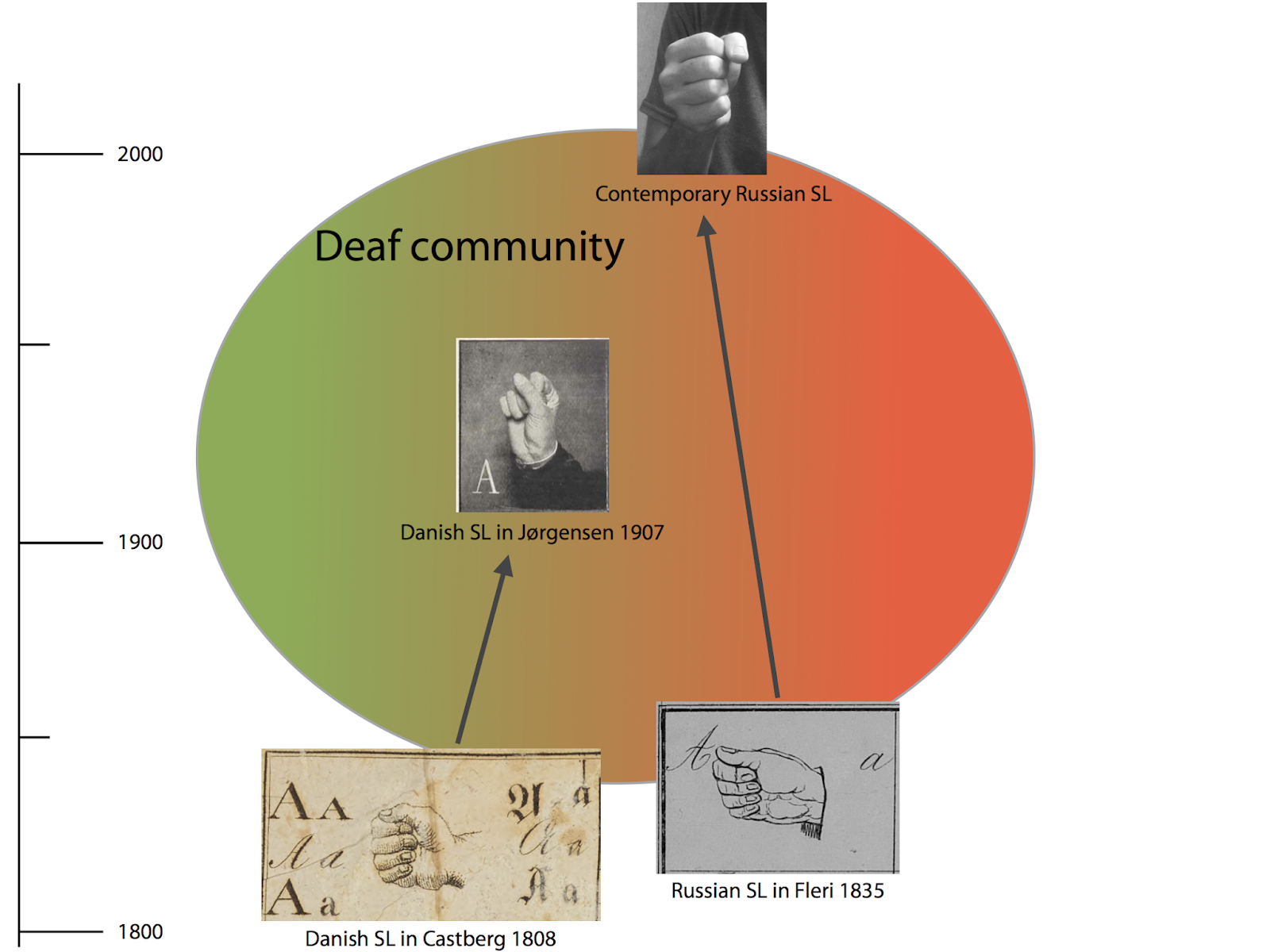 The Genealogical World of Phylogenetic Networks: Untangling vertical ...