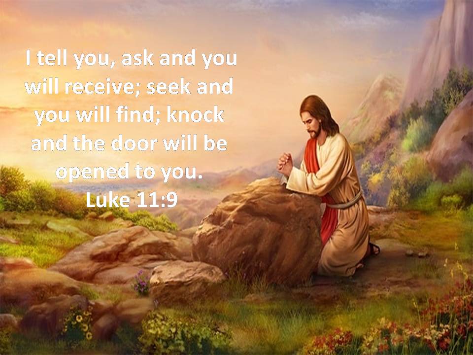 My Reflections Reflection For Sunday July 28 Seventeenth Sunday In Ordinary Time Luke 11 1 13