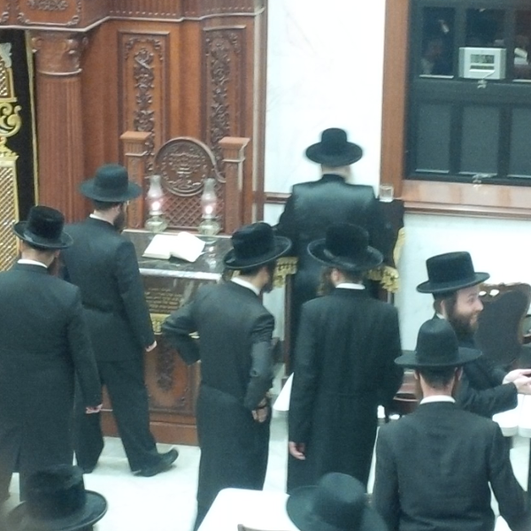 Hefkervelt : June 2015