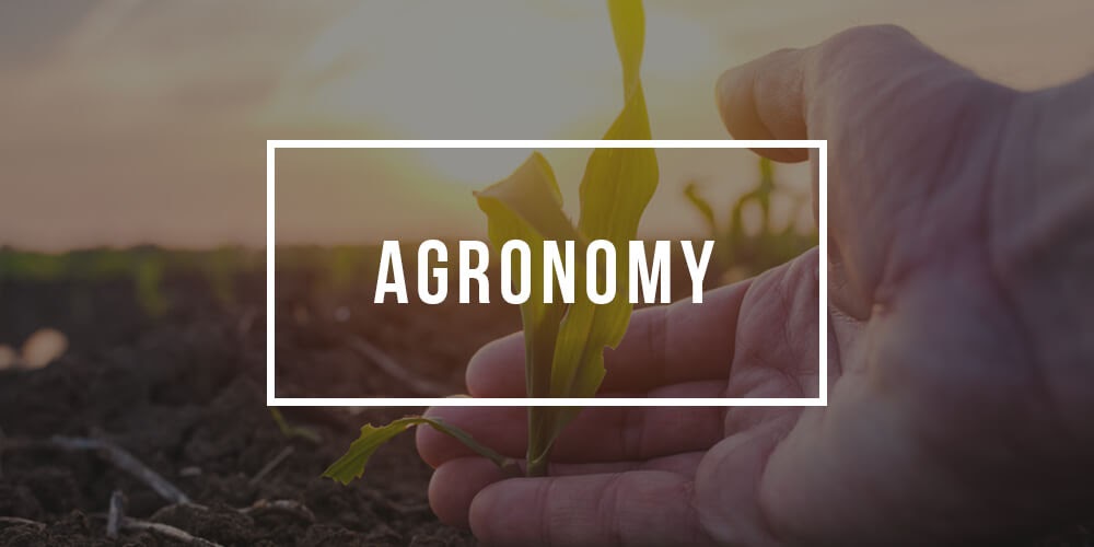 Agronomy Research