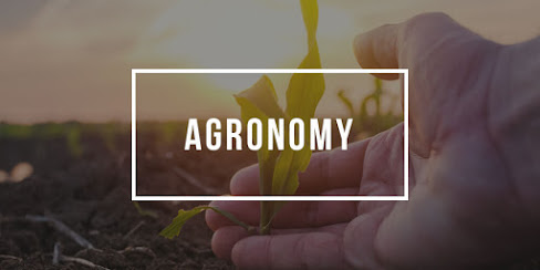 Agronomy JRF (Junior Research Fellowship) || ICAR Agronomy JRF