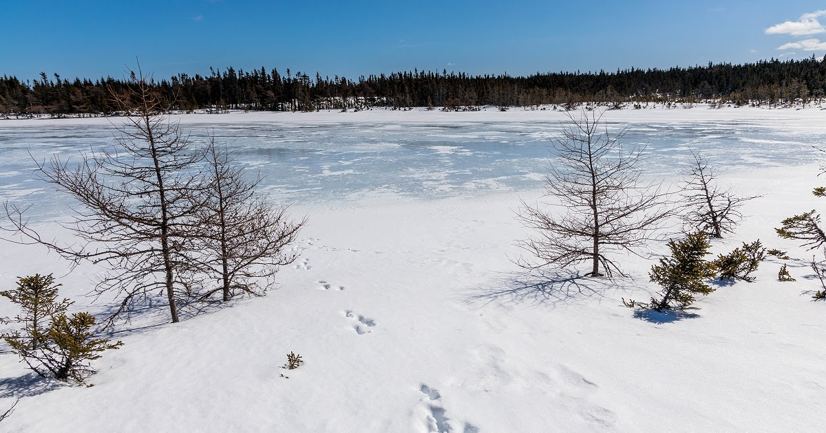 Bitstop: Upper Three Corner Pond
