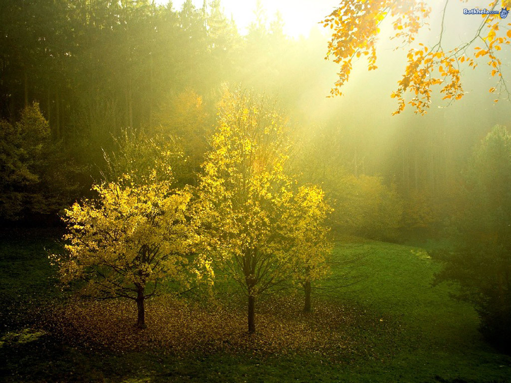 Iulisa: Culorile toamnei